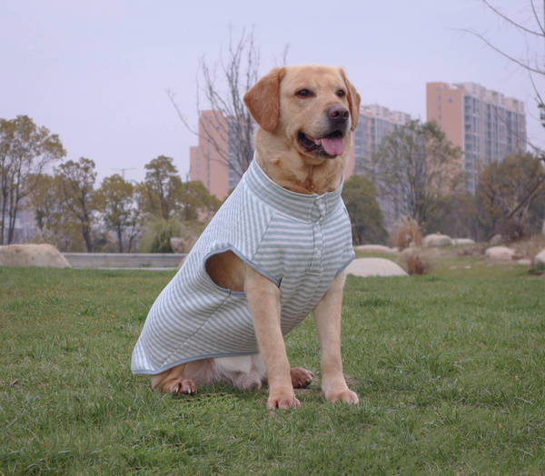 Толстовка "полоска" для собак средних и крупных пород, размер 7XL, Rexy crew - купить с ...