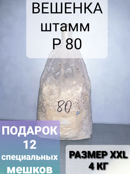 Мицелий зерновой гриб ВЕШЕНКА штамм Р 80, вес 4 кг - купить по выгодным ...