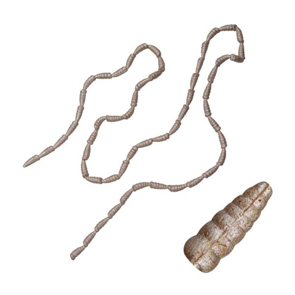 Силиконовая приманка для рыбалки Berkley Powerbait Micro Power Maggots ...