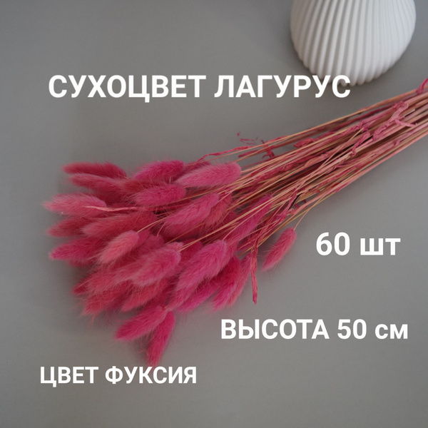Букет из сухоцветов Лагурус, 55 см, 100 гр, 60 шт купить по выгодной ...