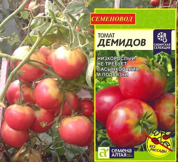 Томаты Семена Алтая Алтай - купить по выгодным ценам в интернет ...