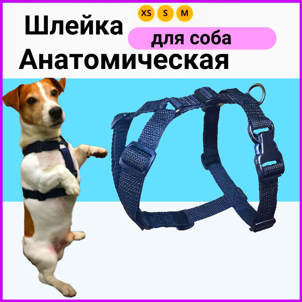 Анатомическая Шлейка для собак мелких и средних пород - купить с ...