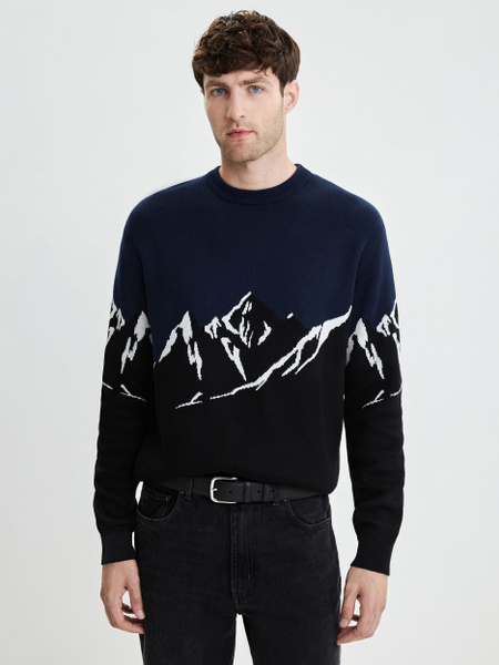 Джемпер Zarina ZRN MAN - купить с доставкой по выгодным ценам в интернет-магазине OZON (1261465829)