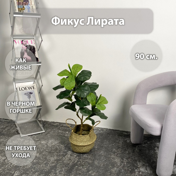 Купить Искусственный Фикус Лирата 90 см. цветы для декора, высокое ...