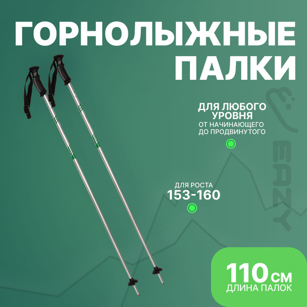 Eazy Rent Горнолыжные палки 110 см купить на OZON по низкой цене ...