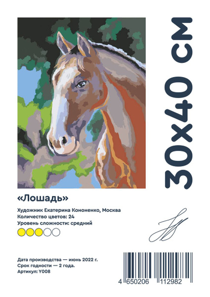 Авторская картина по номерам на холсте JUNION Creative лошадь, 30х40 см ...