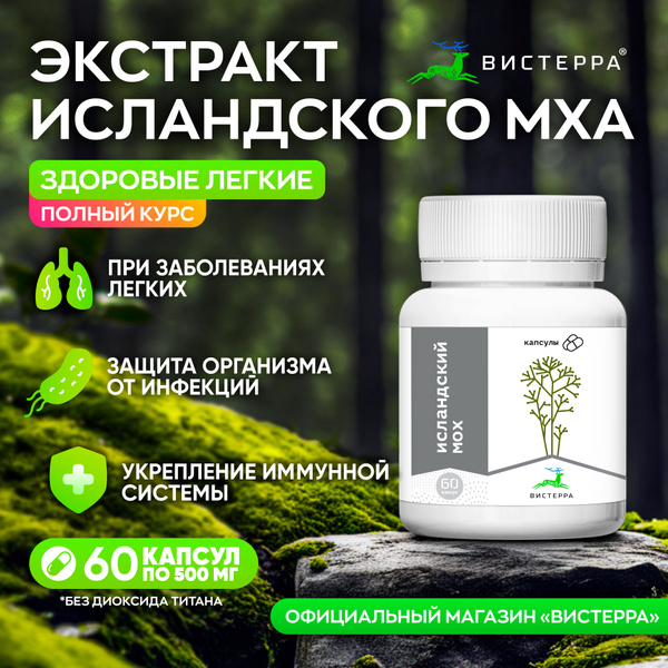 Исландский мох экстракт в капсулах 60 шт по 500 мг, цетрария для легких ...