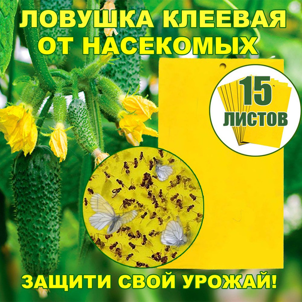 Ловушка клеевая от насекомых, 15 листов - купить с доставкой по ...