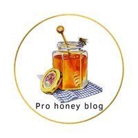 Pro honey blog — купить товары Pro honey blog в интернет-магазине OZON