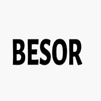 BESOR — купить товары BESOR в интернет-магазине OZON