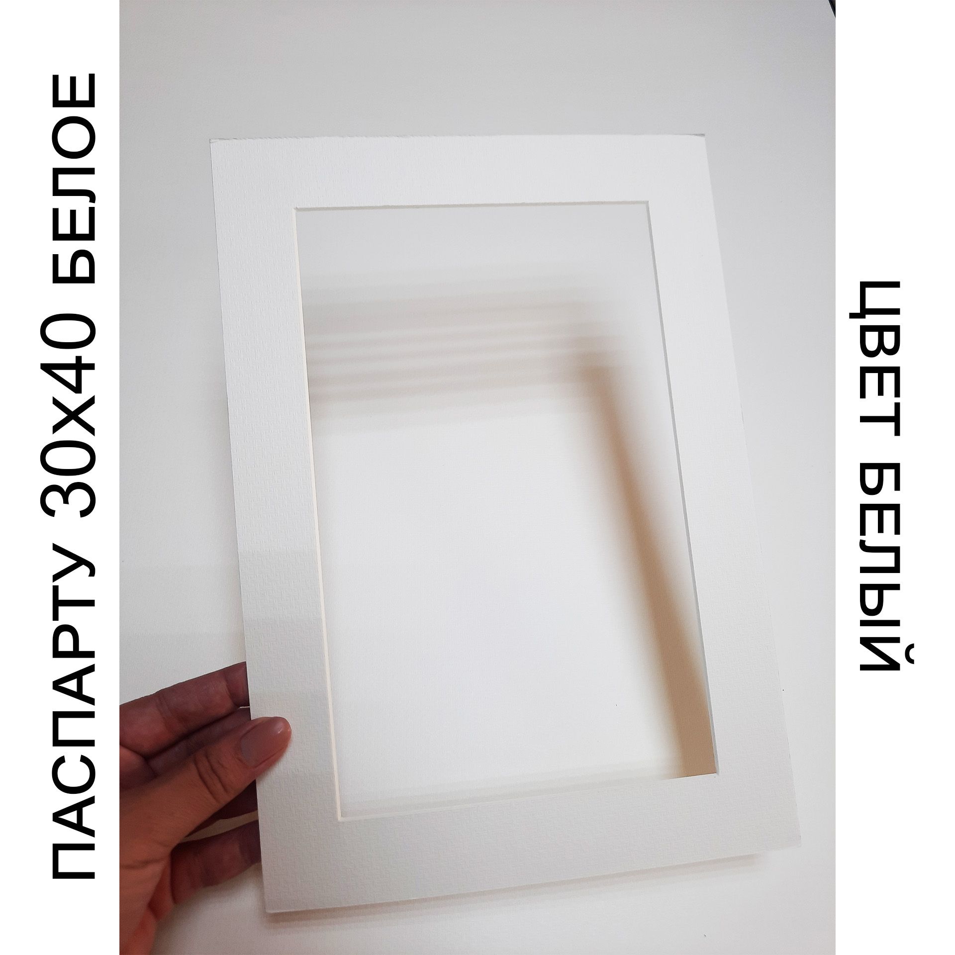 Паспарту для Рисунка – купить в интернет-магазине OZON по низкой цене