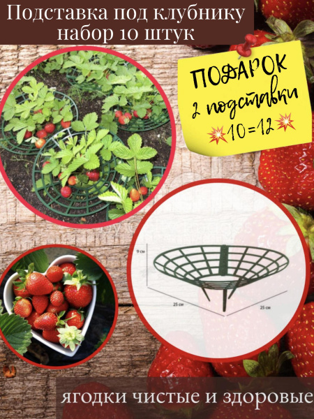 Подставка под клубнику, 10 штук+2 подставки в ПОДАРОК/Держатель для ...