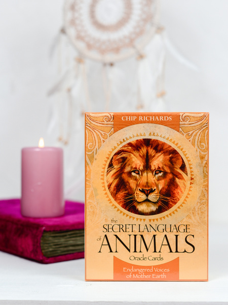 Карты Оракула СЕКРЕТНЫЙ ЯЗЫК ЖИВОТНЫХ / Secret Language of Animals ...