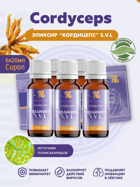 БАД Кордицепс жидкий питьевой Эликсир Феникс НСП NSP, витамины для ...