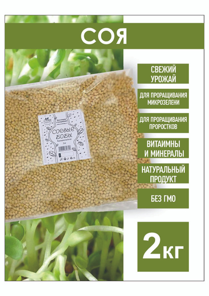 Соевые Бобы Соя 2 кг. для проращивания тофу - купить с доставкой по ...