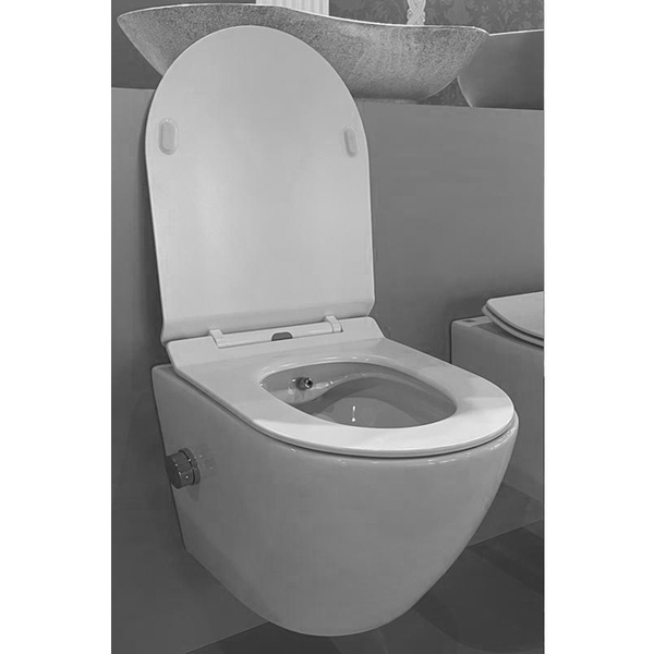 Подвесной унитаз Zandini, Z19-03 - купить по низким ценам в интернет-магазине OZON с доставкой ...