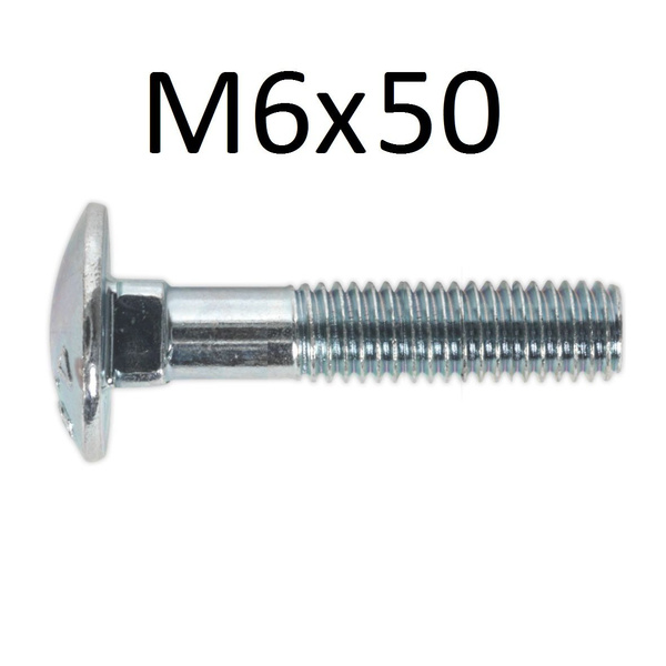 ЗИТАР Винт M6 x 50 мм, головка: Полукруглая, 20 шт. 265 г купить на OZON по низкой цене (1476267120)