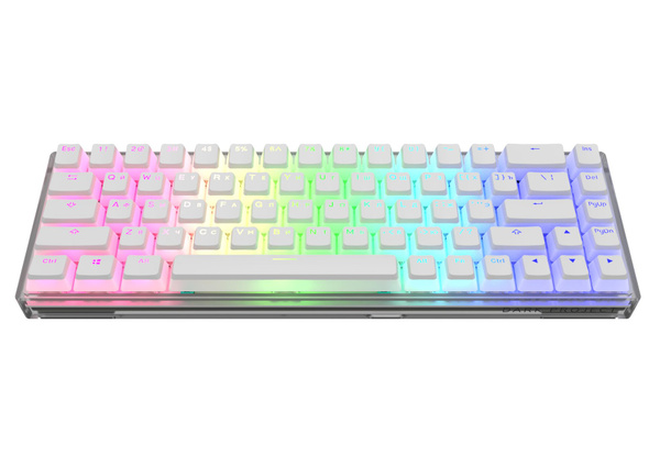 Механическая клавиатура Dark Project KD68B Mechanical купить по низкой ...