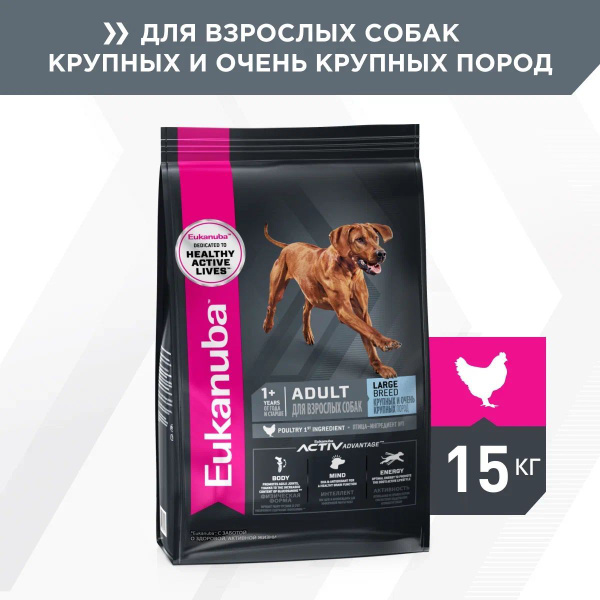 Сухой корм для собак Eukanuba для крупных пород, с курицей, 15 кг ...