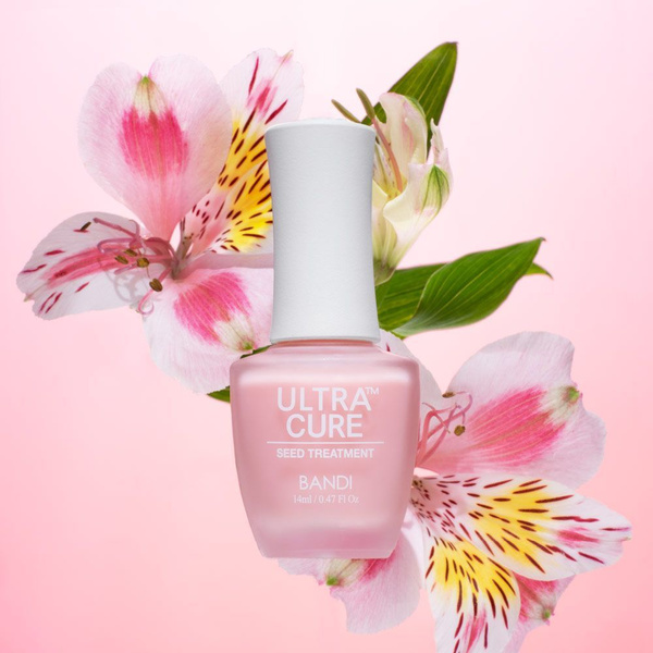 Bandi Ultra Cure (Cc Pink) - Покрытие для укрепления ногтей "Розовое ...