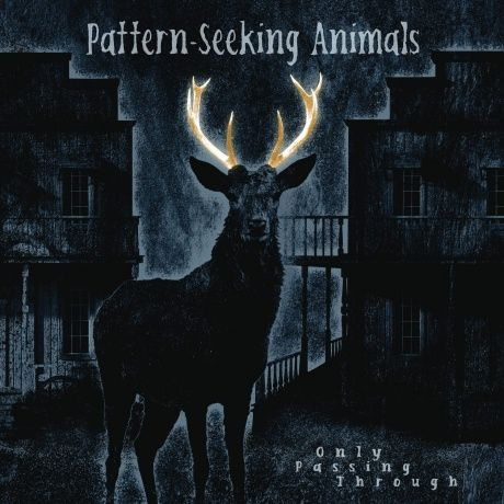 PATTERN-SEEKING ANIMALS Only Passing Through купить на OZON по низкой ...