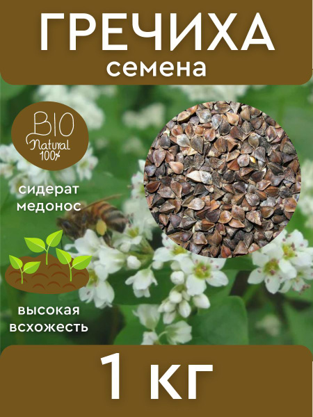 Первый садовод Гречиха - купить по выгодным ценам в интернет-магазине ...