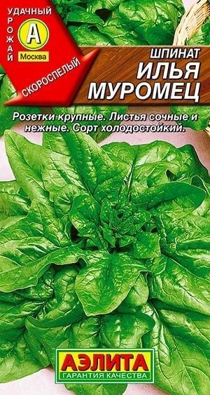 Шпинат Агрофирма Аэлита Шпинат Мир семян_зеленый - купить по выгодным ...