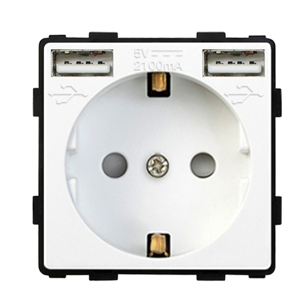 Розетка (модуль) электрическая с 2 USB (Type A + Type A) с заземлением ...