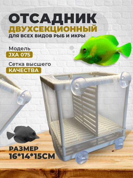 Отсадник для рыб купить на OZON по низкой цене (1780863030)