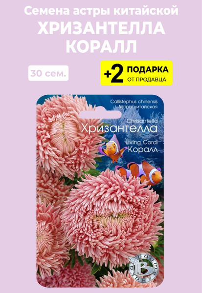 Астры однолетние Проверенные семена Хризантелла Коралл_бежевый - купить ...