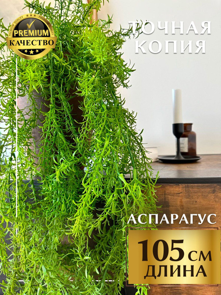 Купить Зелень искусственная MintOnly для декора и украшения Аспарагус ...