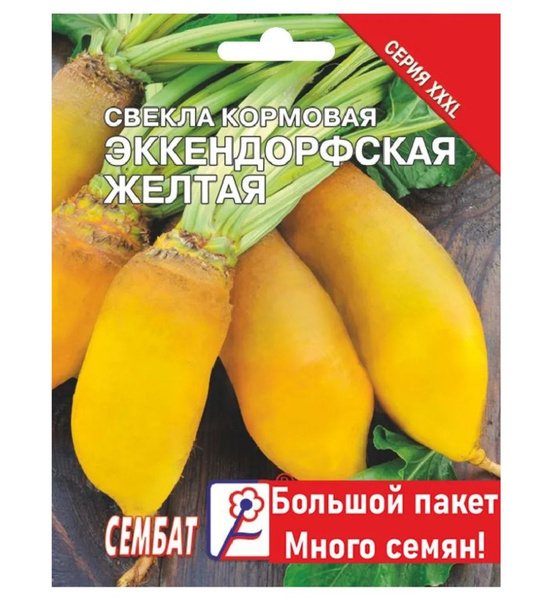 Свекла Сембат Кормовая свекла - купить по выгодным ценам в интернет ...