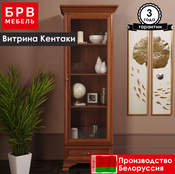 Шкаф-витрина БРВ МЕБЕЛЬ Кентаки REG1W1S, 70x44x198 см купить c ...