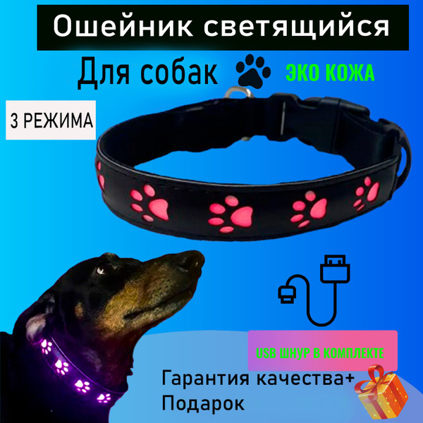 Светящийся ошейник для собак крупных средних и мелких пород Неоновый