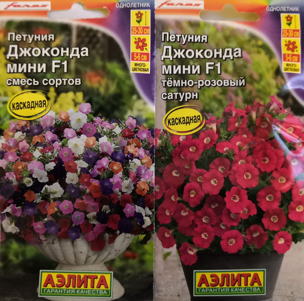Агрофирма Аэлита Петуния Джоконда мини F1. Смесь сортов. Каскадная и ...