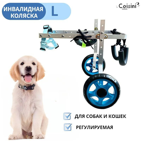 Инвалидная коляска для собак и кошек. Коляска для животных инвалидов ...