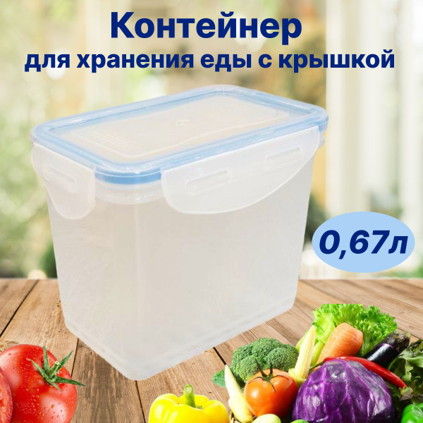 Контейнер пищевой 110 х 65 х 105, объем 670 мл - купить по выгодной цене в интернет-магазине ...