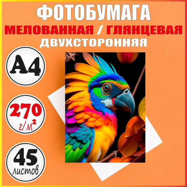 Фотобумага PAPER-T, 45 листов - купить в интернет-магазине OZON по ...