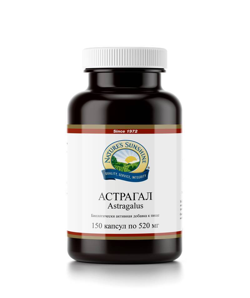 Астрагал НСП / Astragalus NSP 150 капсул — купить в интернет-магазине ...