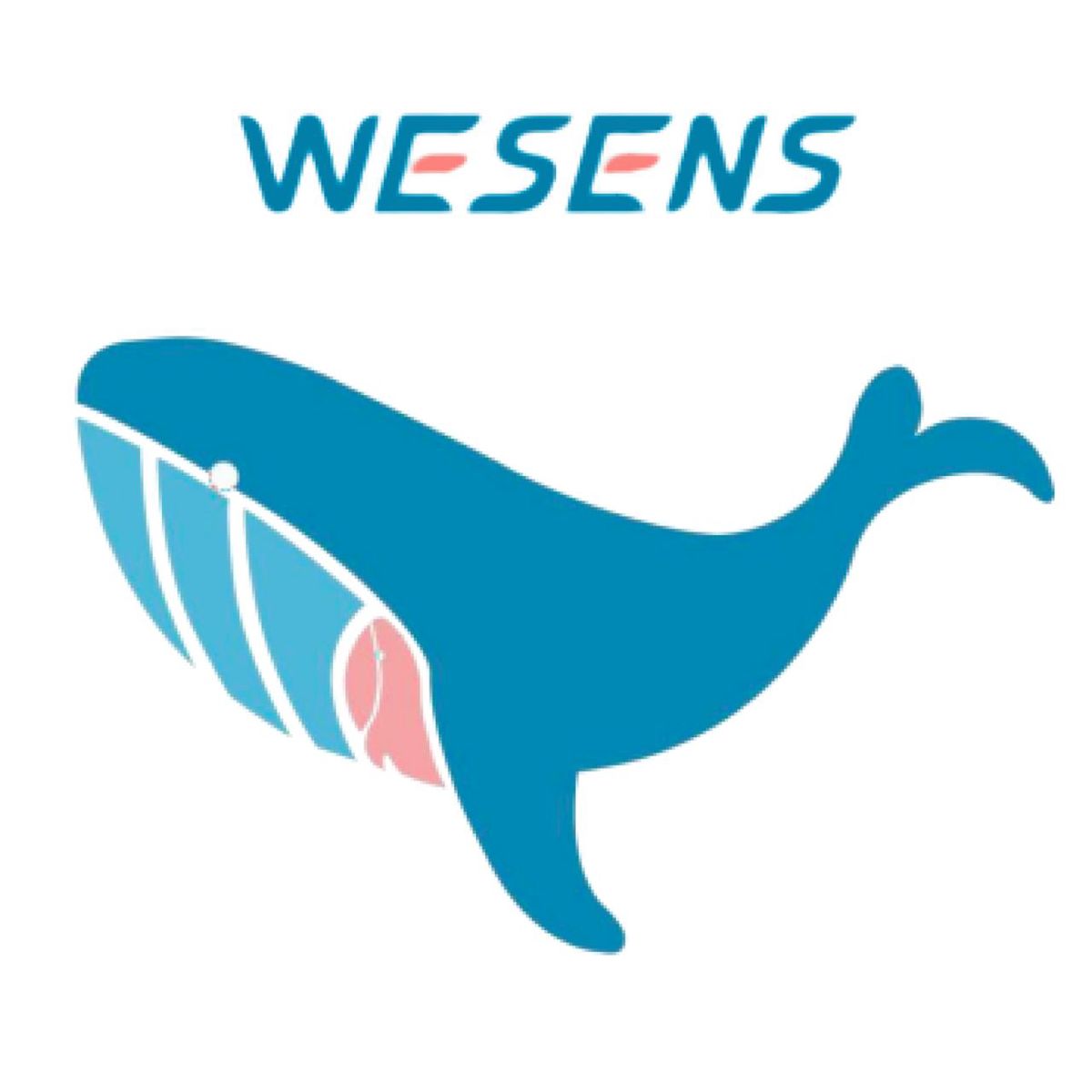 WESENS — купить товары WESENS в интернет-магазине OZON