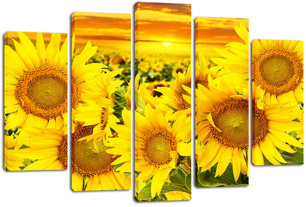 Модульная картина из 5 частей "Поле с подсолнухами" 80*125 см UG808 ...