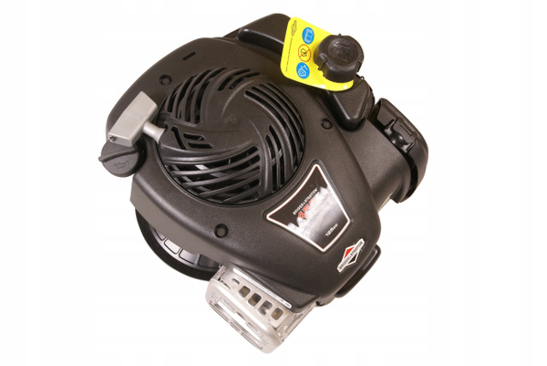 Двигатель для садовой техники Briggs & Stratton 08P5020110 ...