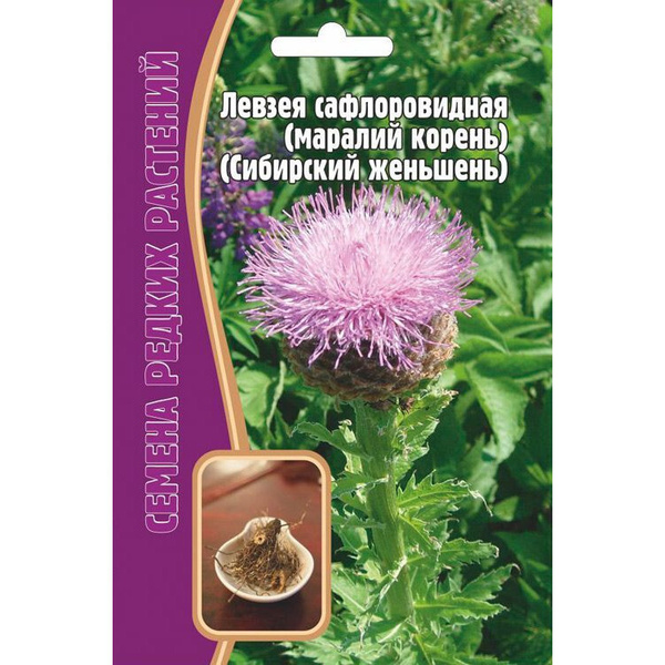 Левизия Редкие семена Редкие семена_КМВ_НФ-00012091 - купить по ...