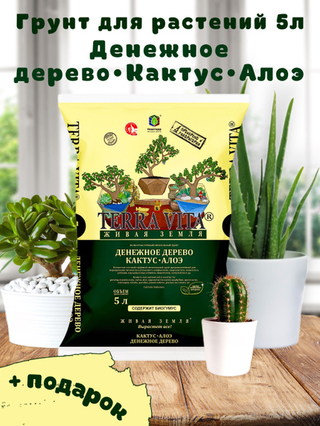 Грунт для комнатных растений, для денежного дерева, кактуса, алоэ и ...