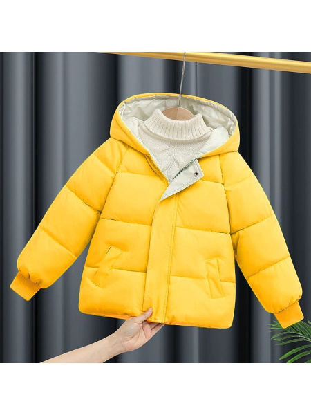 Куртка THANHDAT - купить с доставкой по выгодным ценам в интернет-магазине OZON (885941855)