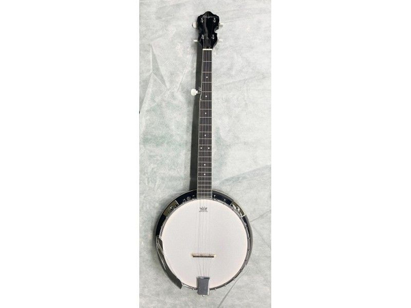 BJ-005-BG Банджо 5-струнное, Bluegrass - купить с доставкой по выгодным ...