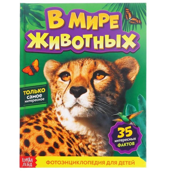 Энциклопедия детская В мире животных 48 стр твердый переплет интересные факты для детей