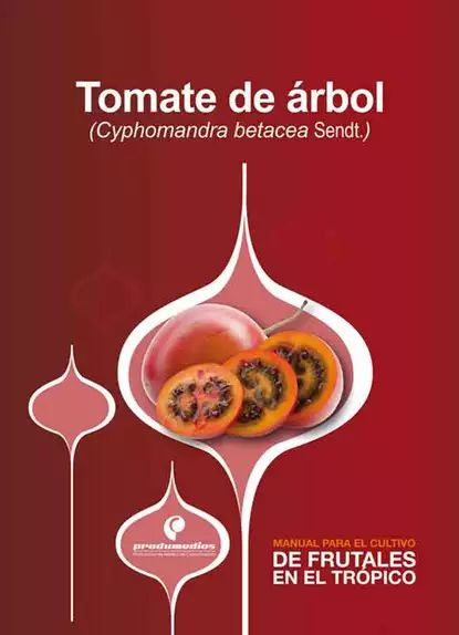 Manual para el cultivo de frutales en el trpico. Tomate de rbol | José ...