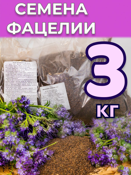 Сидераты Фацелия Пижмолистная_1 - купить по выгодным ценам в интернет ...