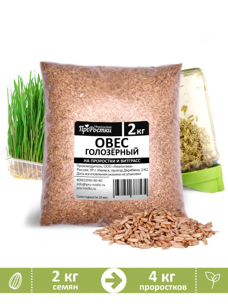 Овёс голозерный семена для проращивания, 2 кг - купить с доставкой по ...